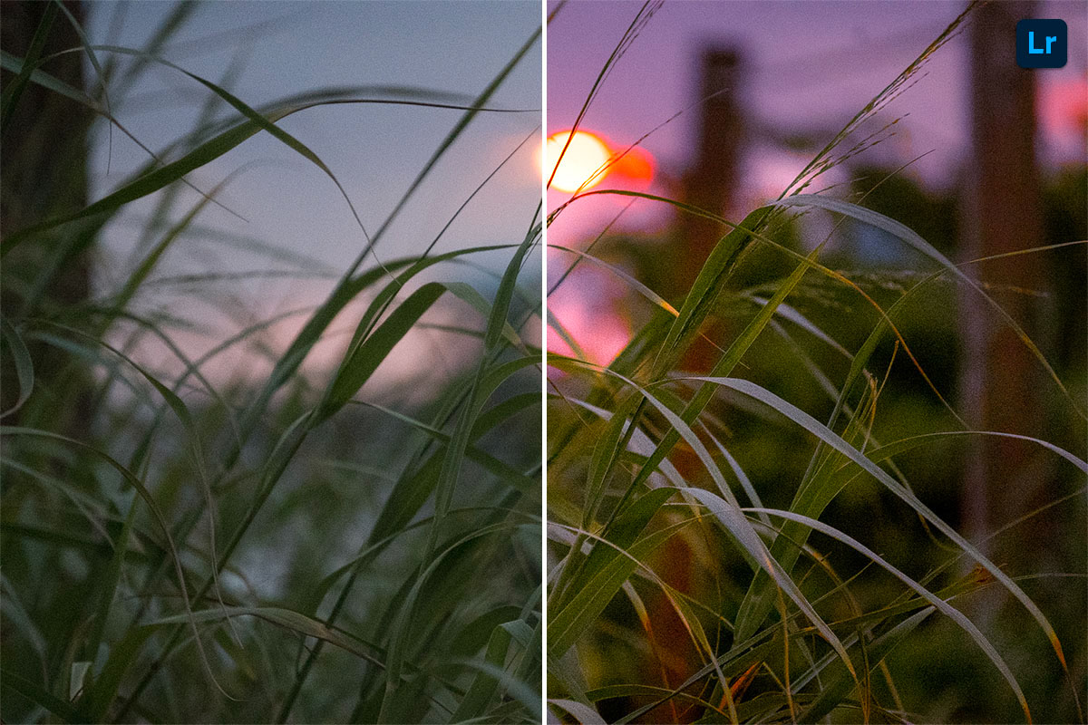 Views | Edit | Photoshop Lightroom