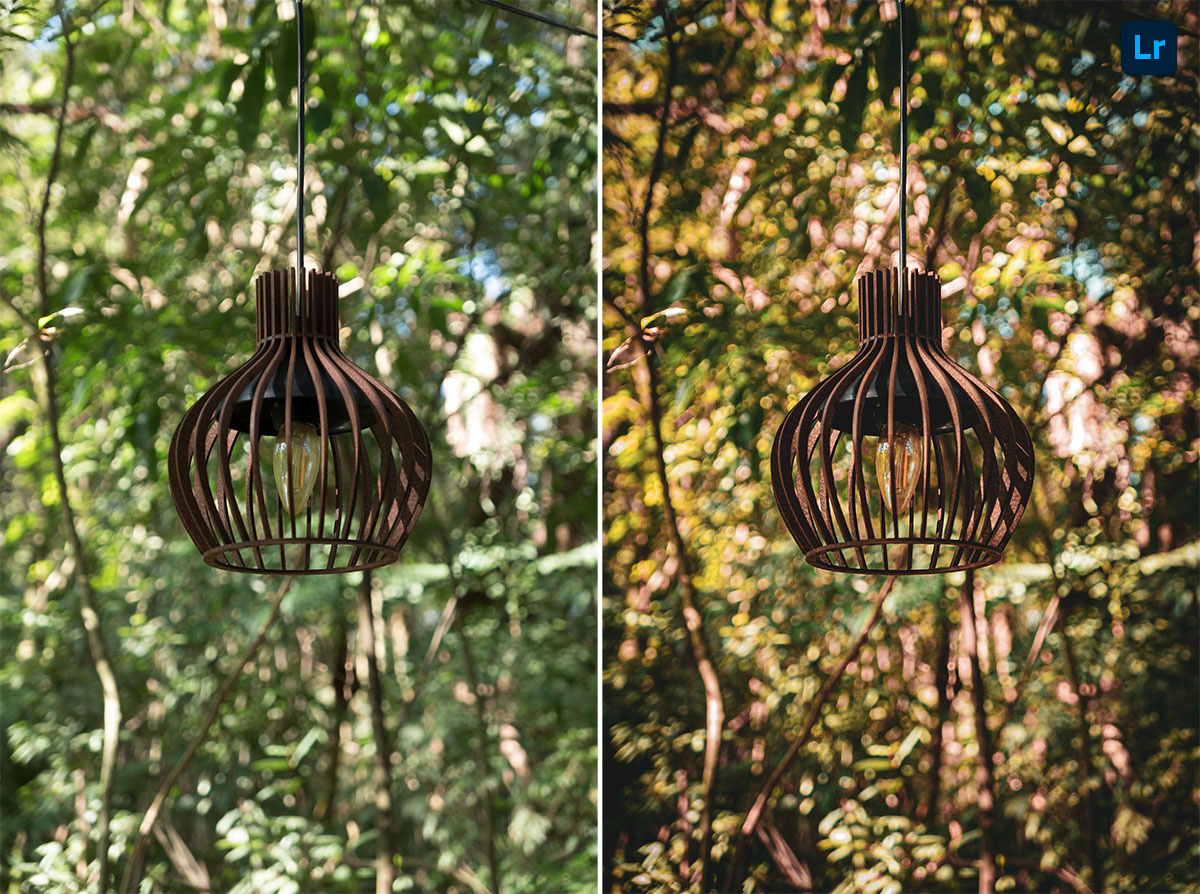 Lamp | Edit | Photoshop Lightroom