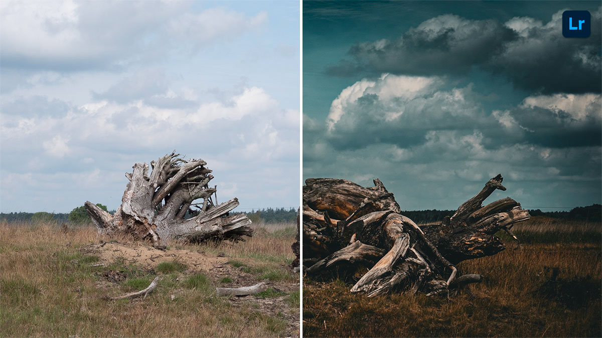 Moody nature | Edit | Photoshop Lightroom