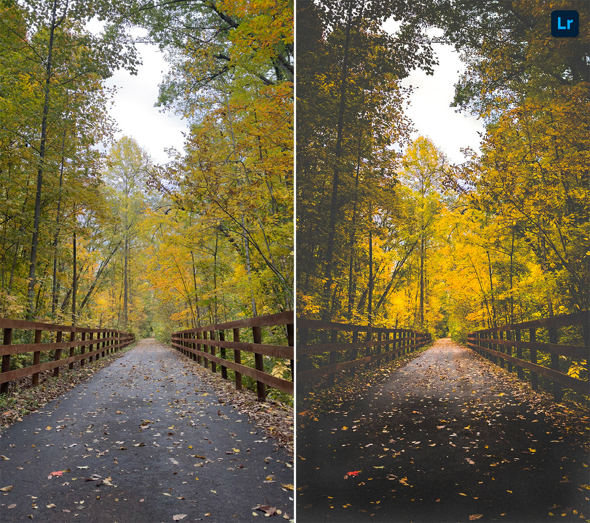 autumn | Edit | Photoshop Lightroom