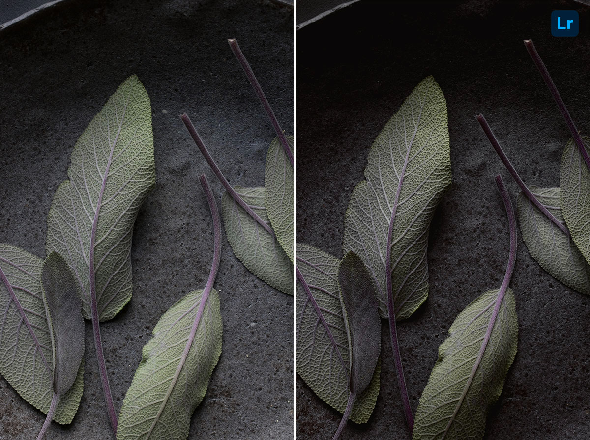 Sage leaves | Remix | Photoshop Lightroom