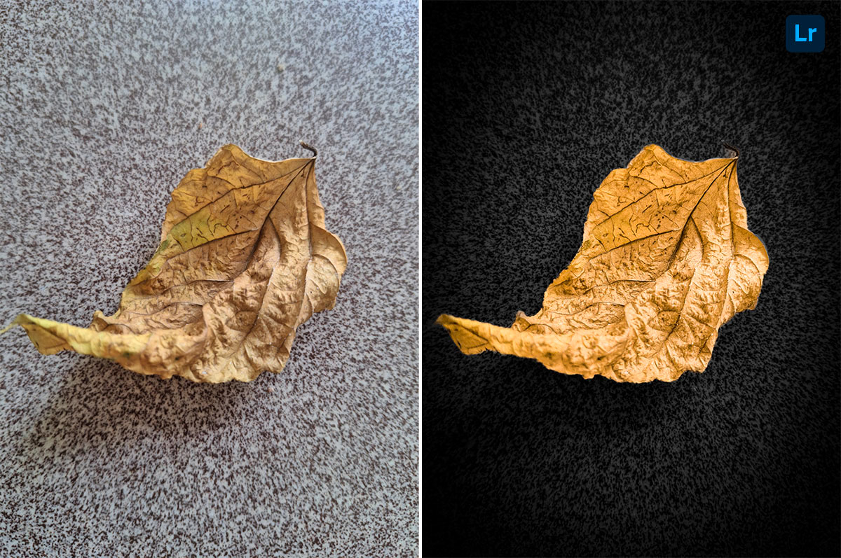 Leaf | Edit | Photoshop Lightroom