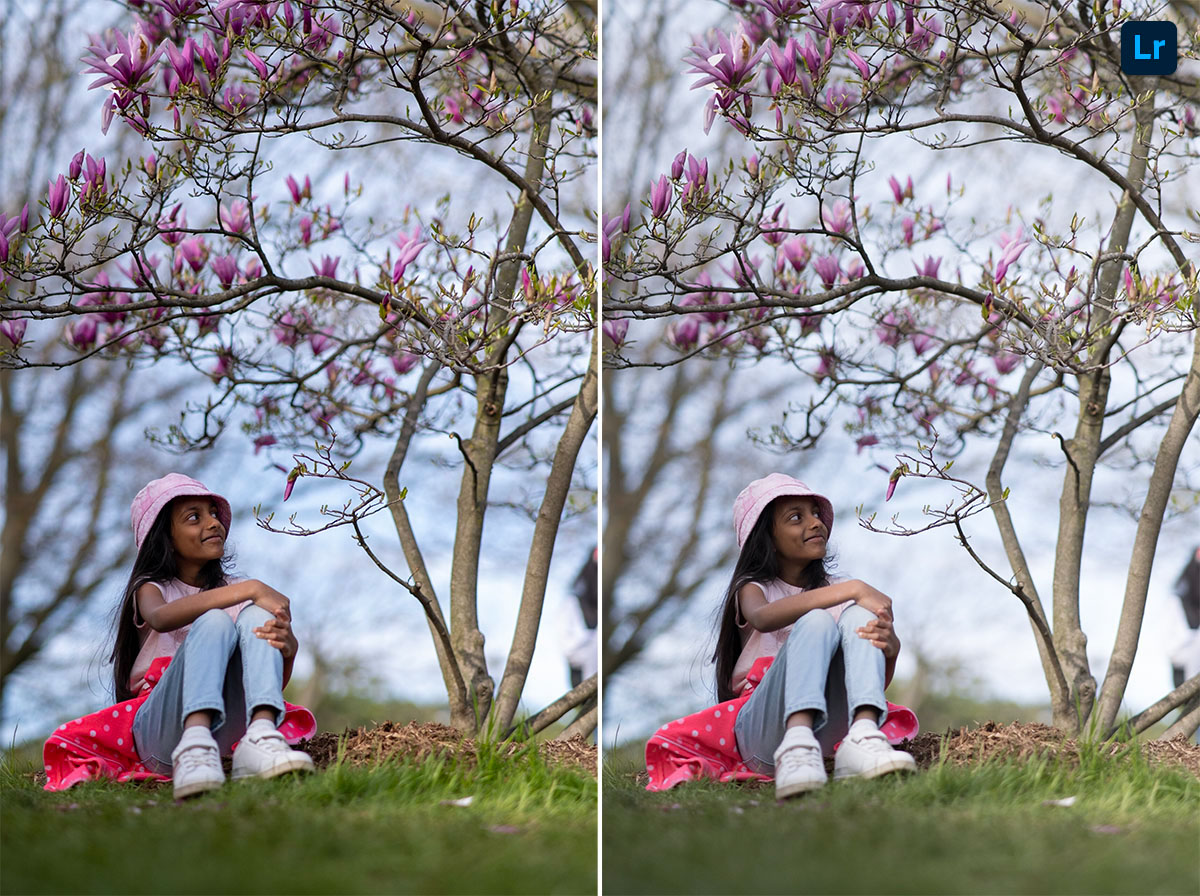 Park | Remix | Photoshop Lightroom