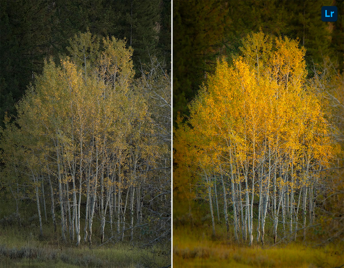 Yellow | Edit | Photoshop Lightroom