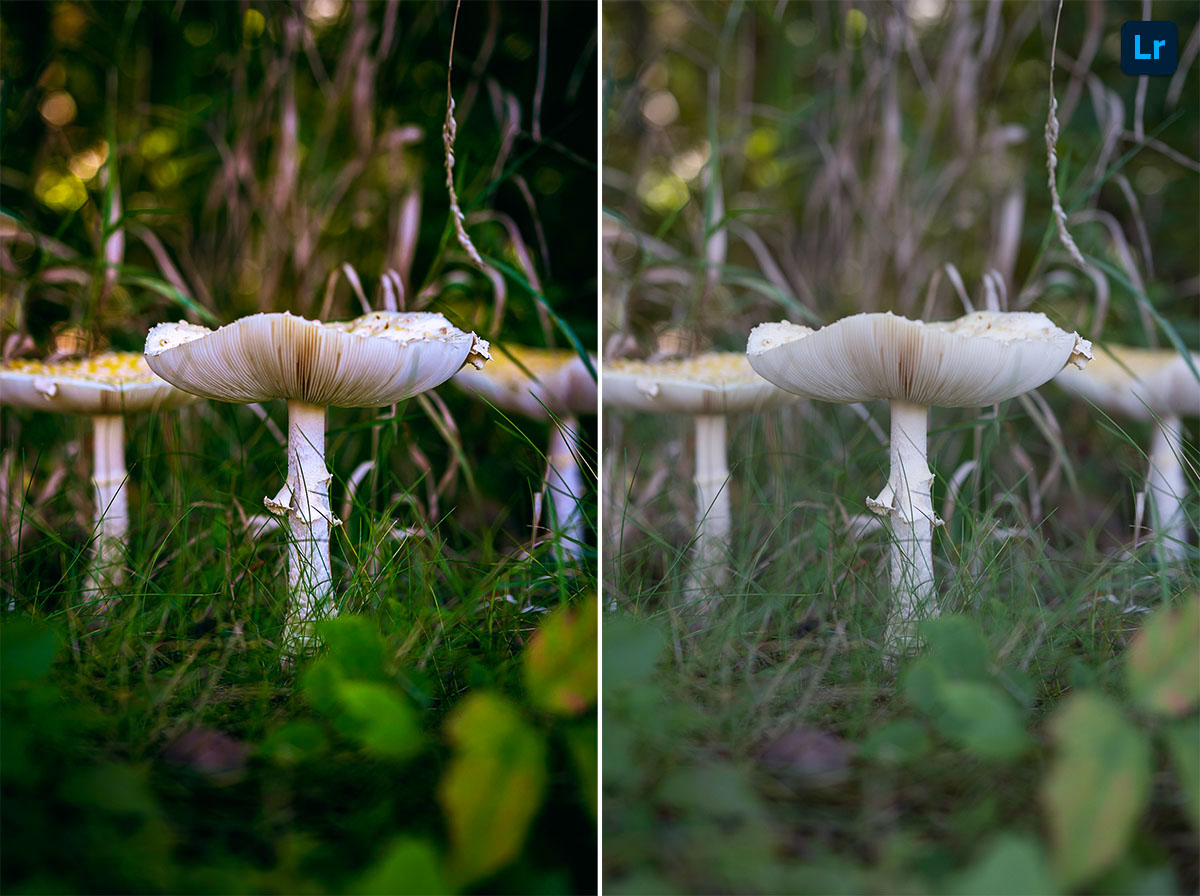 Tiny world | Remix | Photoshop Lightroom