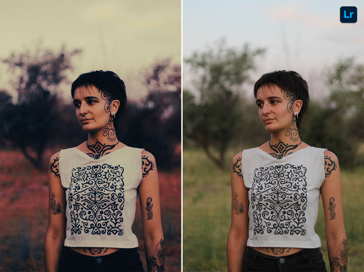 Moody | Remix | Photoshop Lightroom