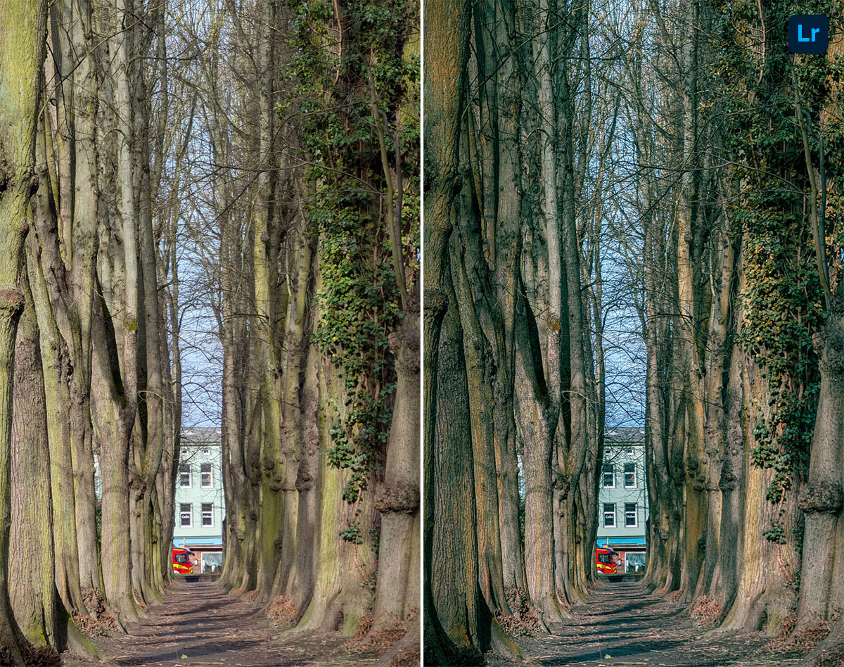 The Forgotten Path | Remix | Photoshop Lightroom