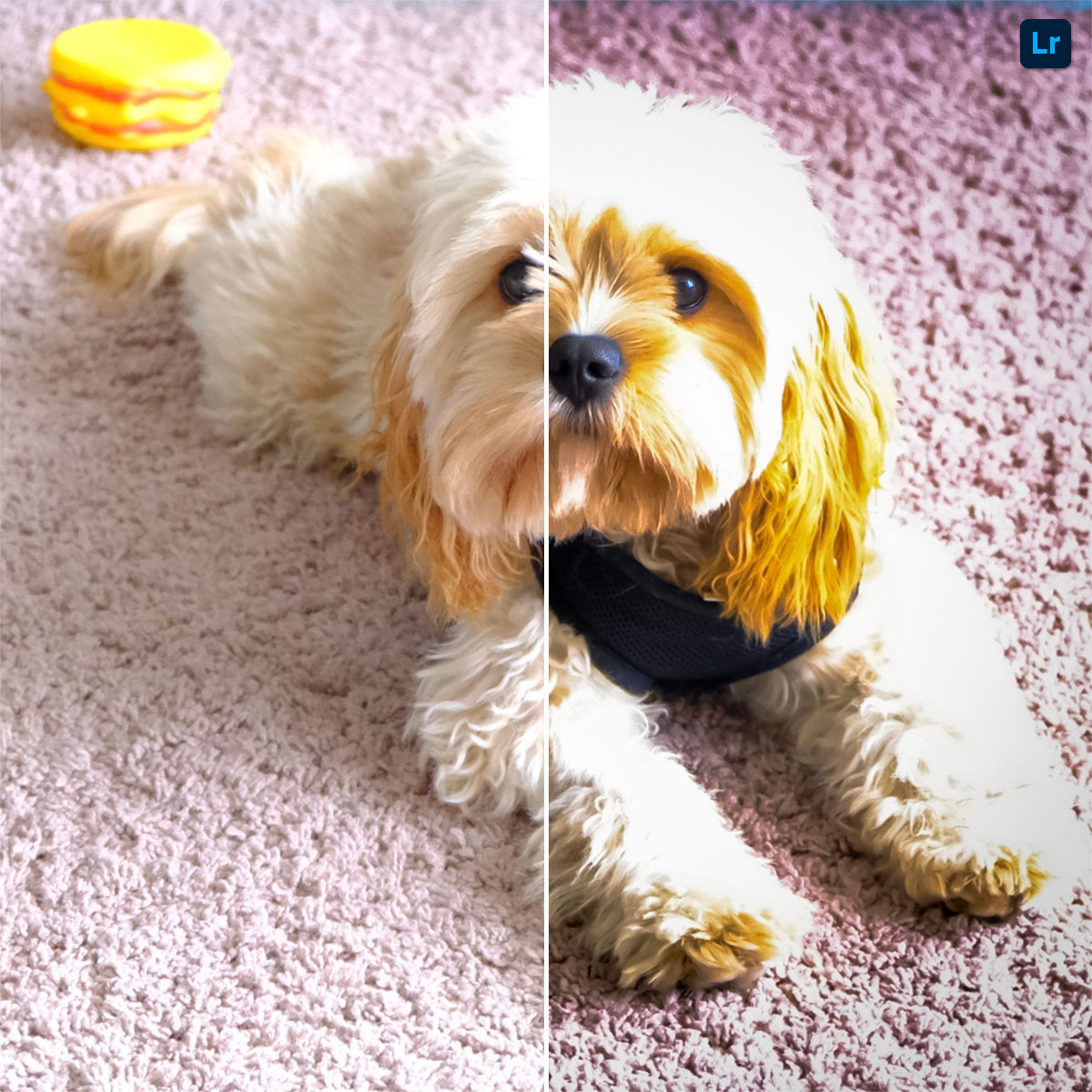 BeBe | Edit | Photoshop Lightroom