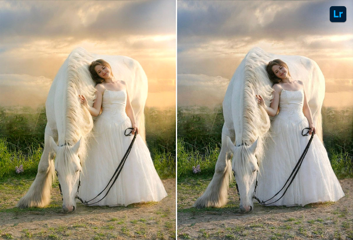 2024 bk folio | Remix | Photoshop Lightroom