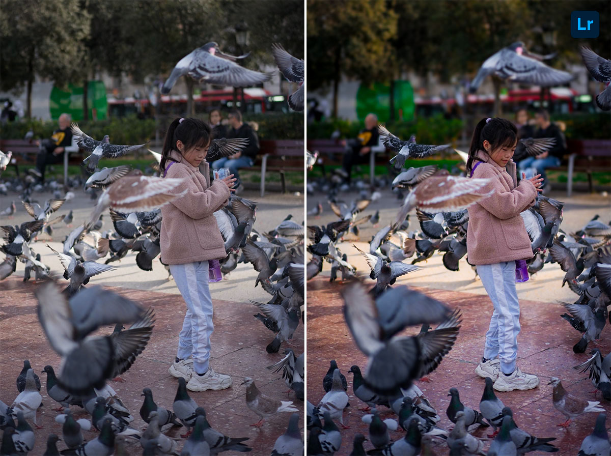 Place | Edit | Photoshop Lightroom