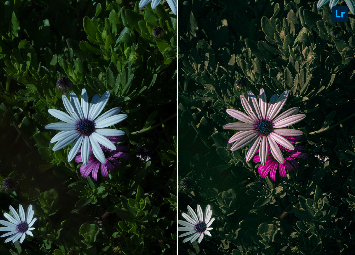 Almost animated | Edit | Photoshop Lightroom