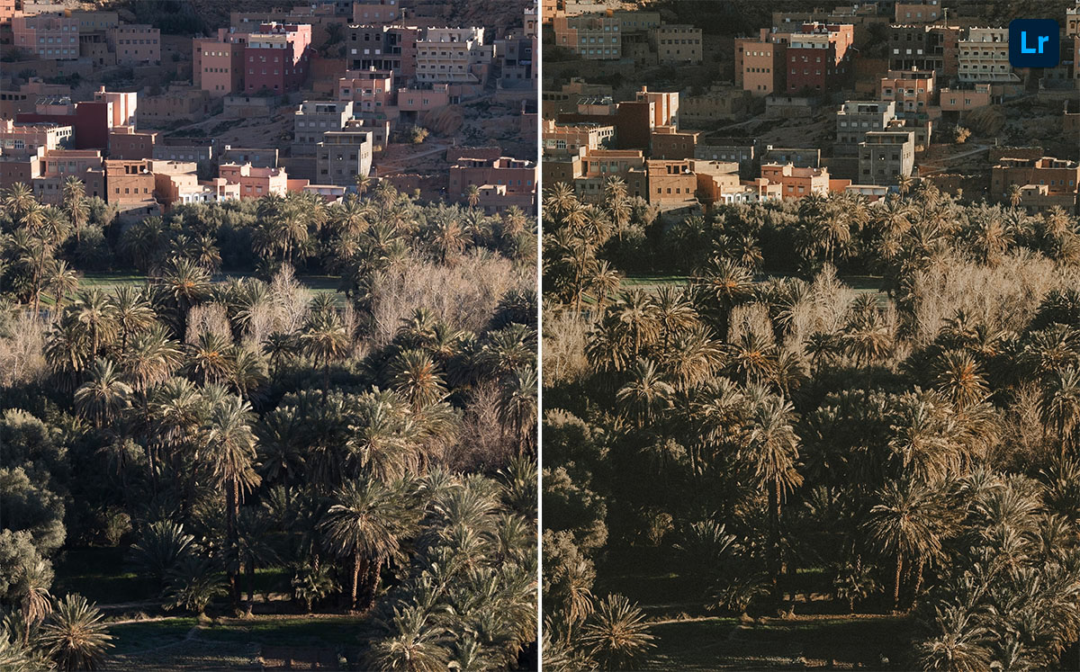 Sunny morning | Edit | Photoshop Lightroom