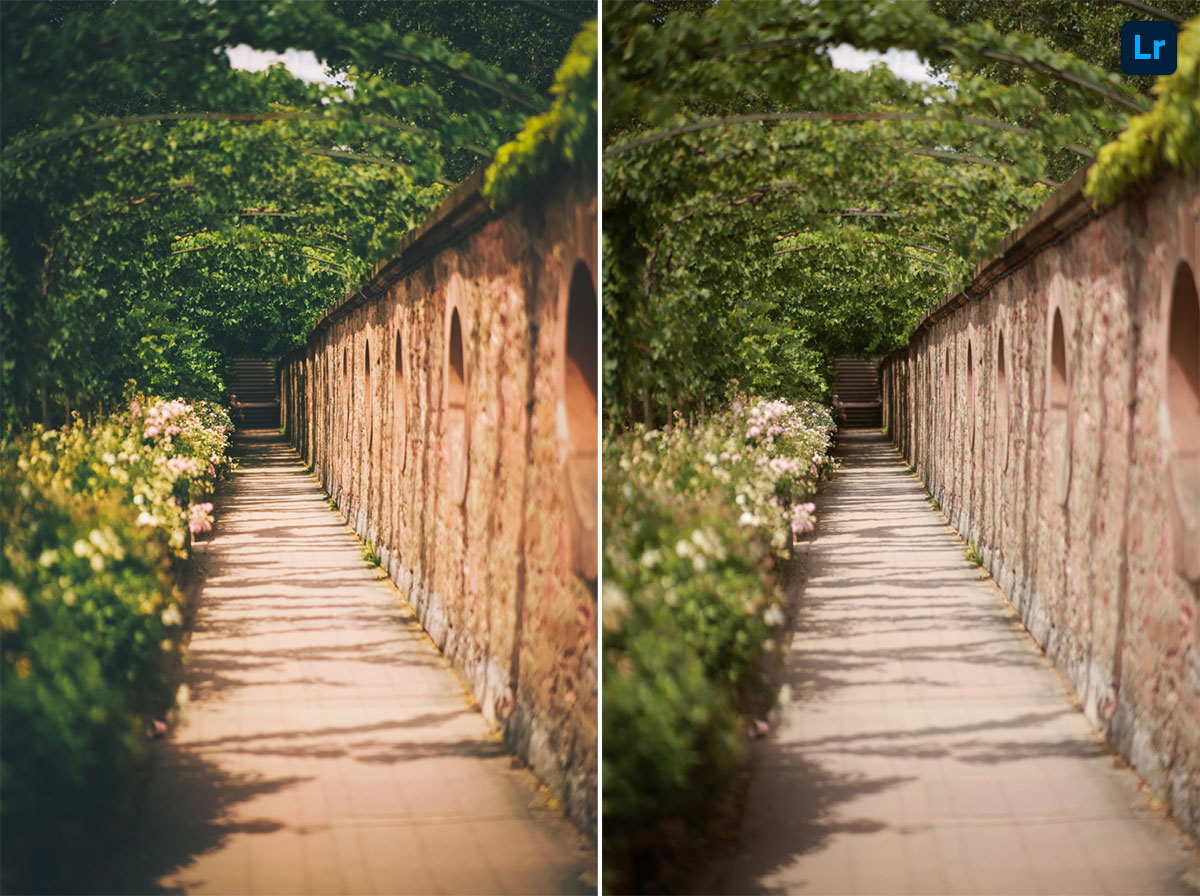Behind the wall | Remix | Photoshop Lightroom