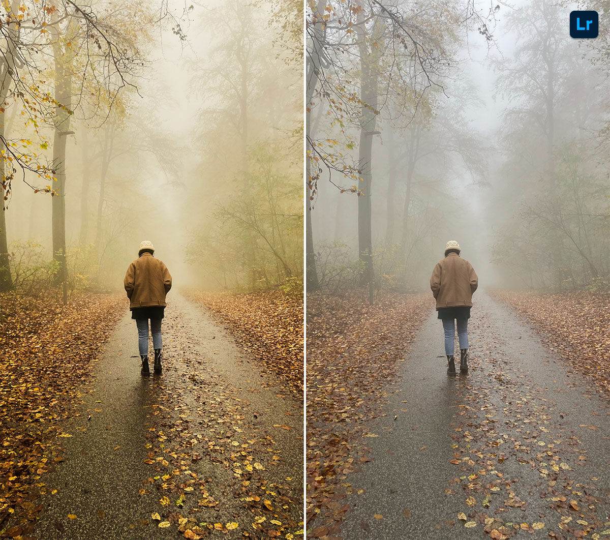 Misty | Remix | Photoshop Lightroom