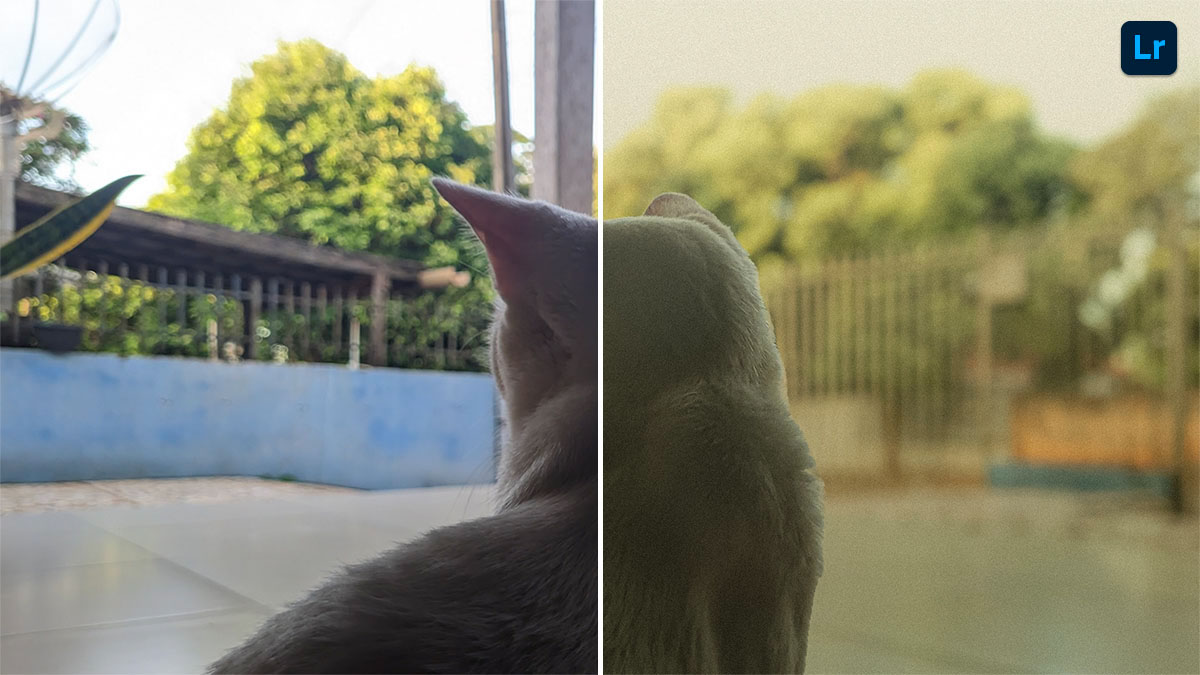 vini🤍🐱 | Edit | Photoshop Lightroom