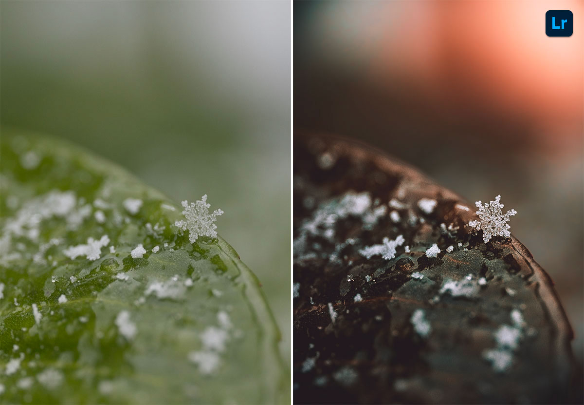 Snowflake ️ | Edit | Photoshop Lightroom