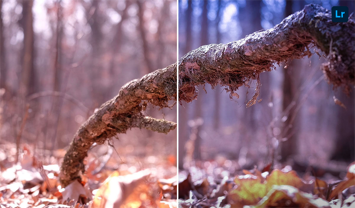 Abstract log | Edit | Photoshop Lightroom