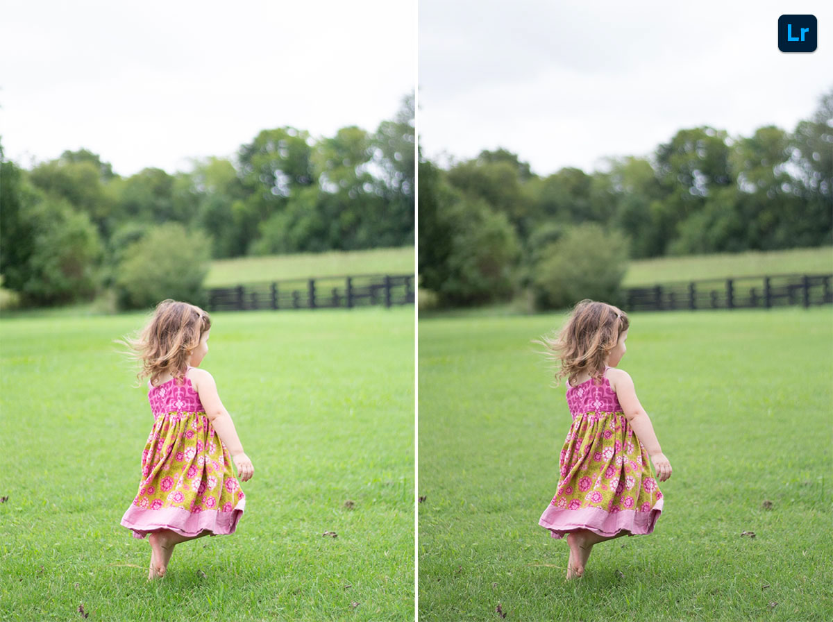 Run | Edit | Photoshop Lightroom