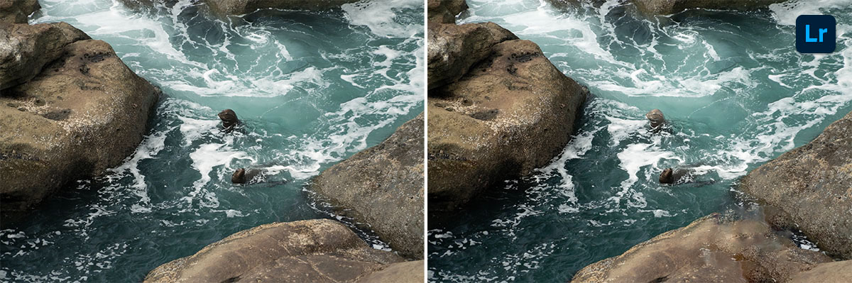 Seal Pair | Remix | Photoshop Lightroom