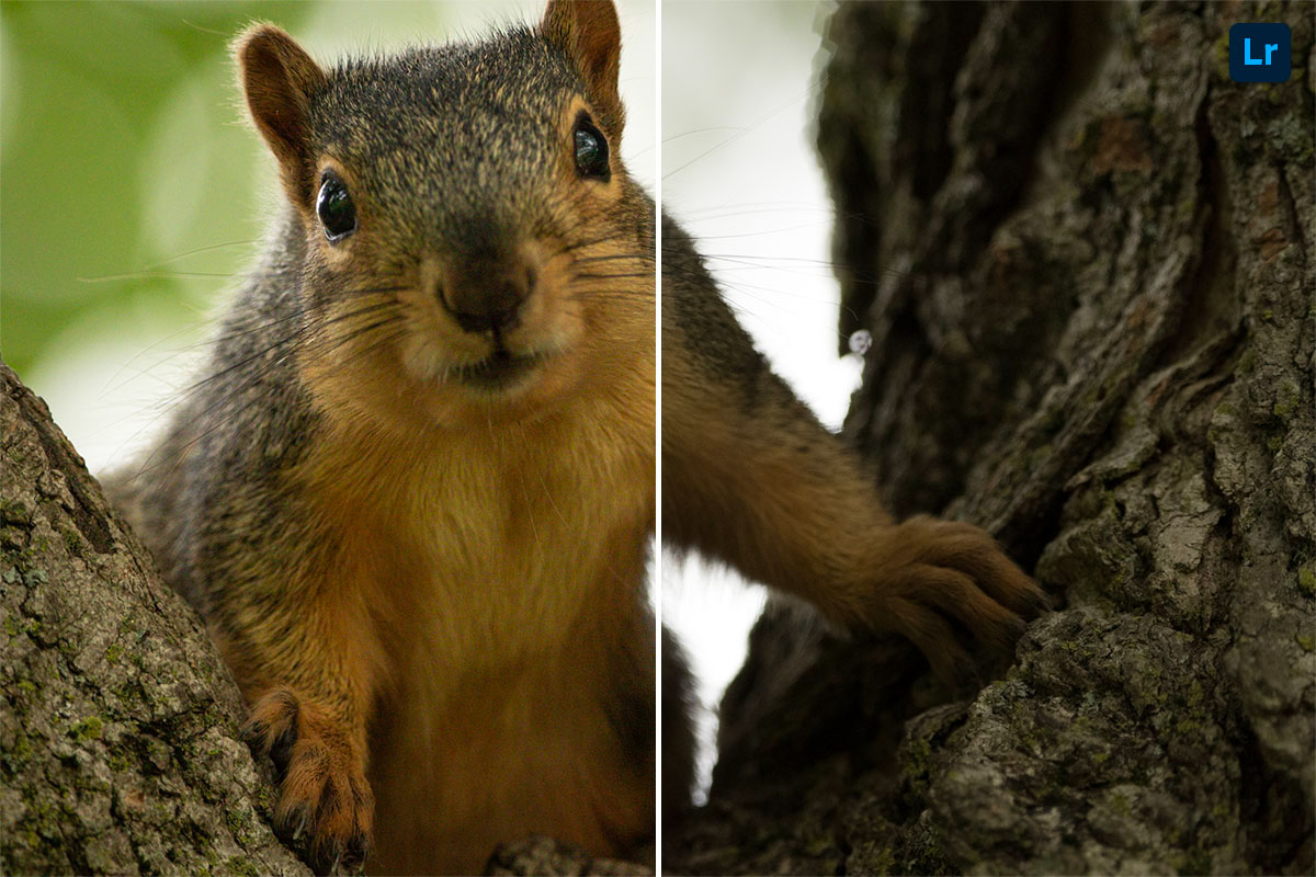 Peeka BOO i see You | Edit | Photoshop Lightroom