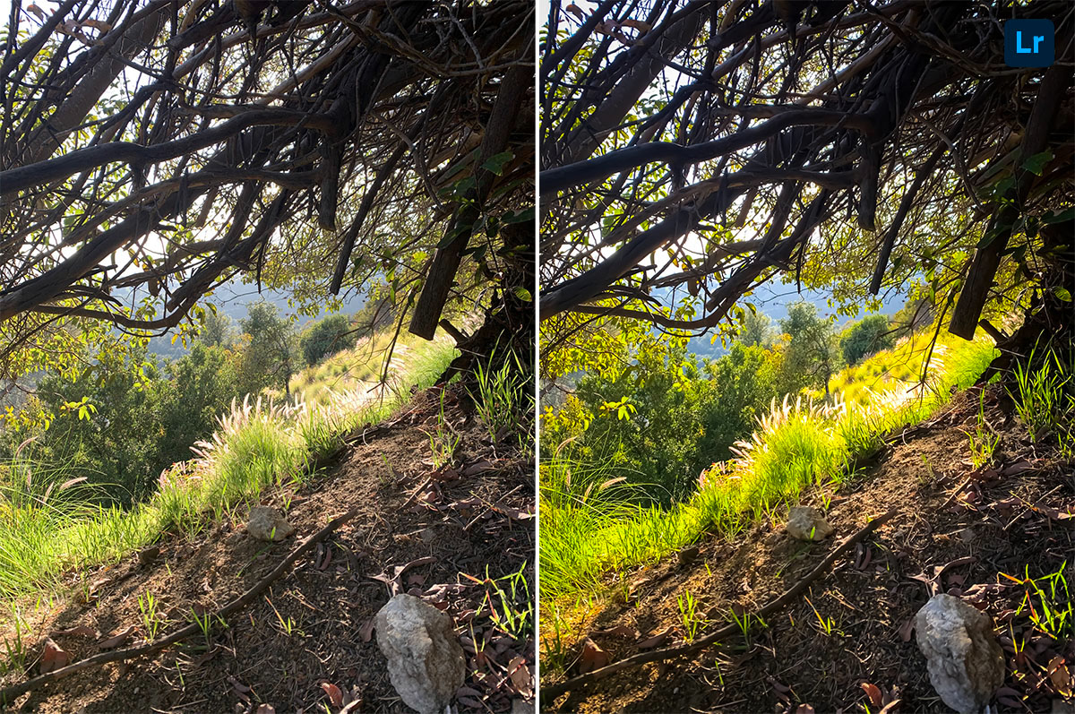 Heavenly Walk | Edit | Photoshop Lightroom