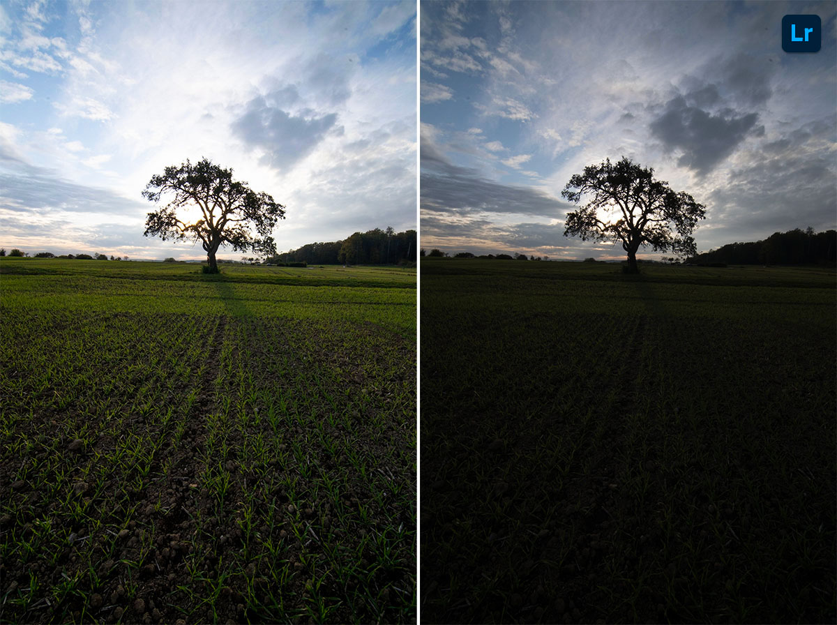 The field | Remix | Photoshop Lightroom