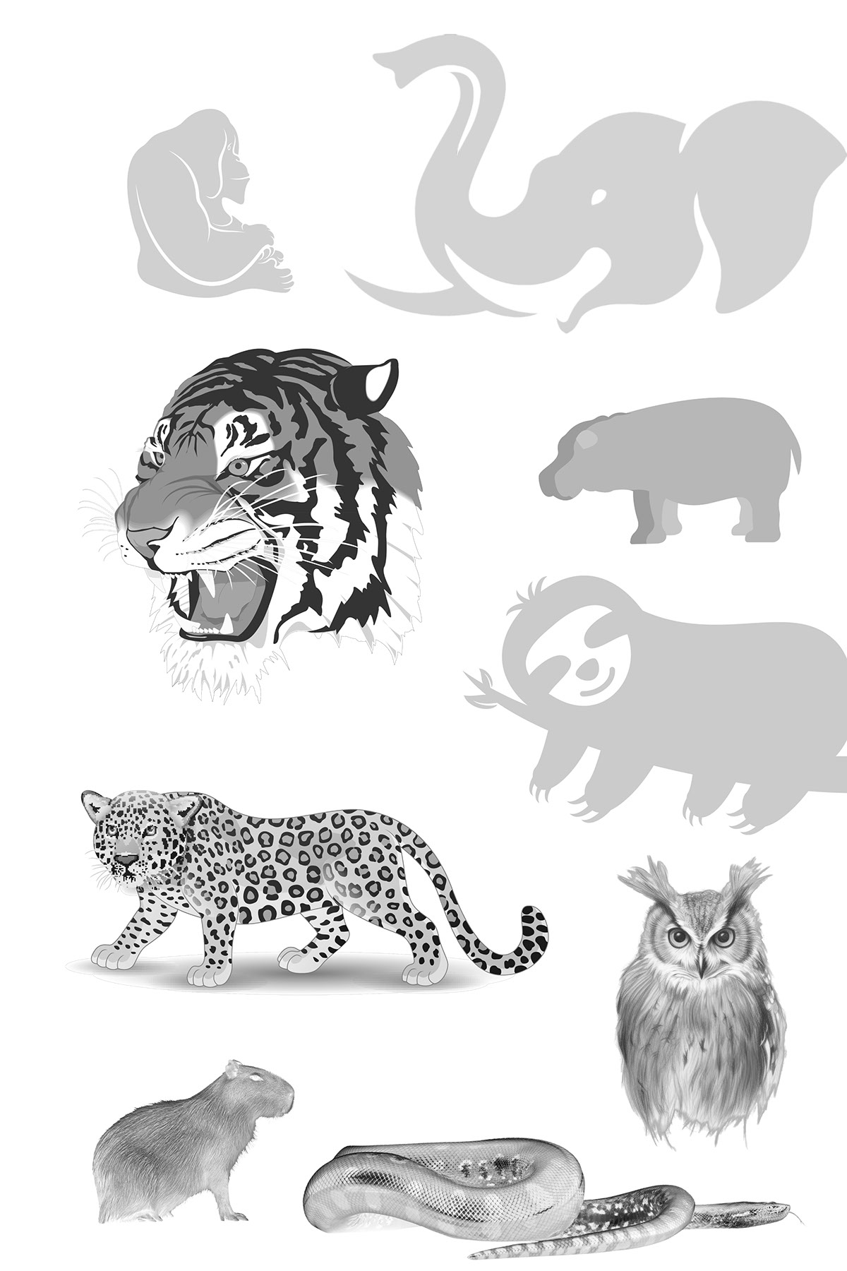 JungleAnimals_ColoringPage on Behance :: Behance