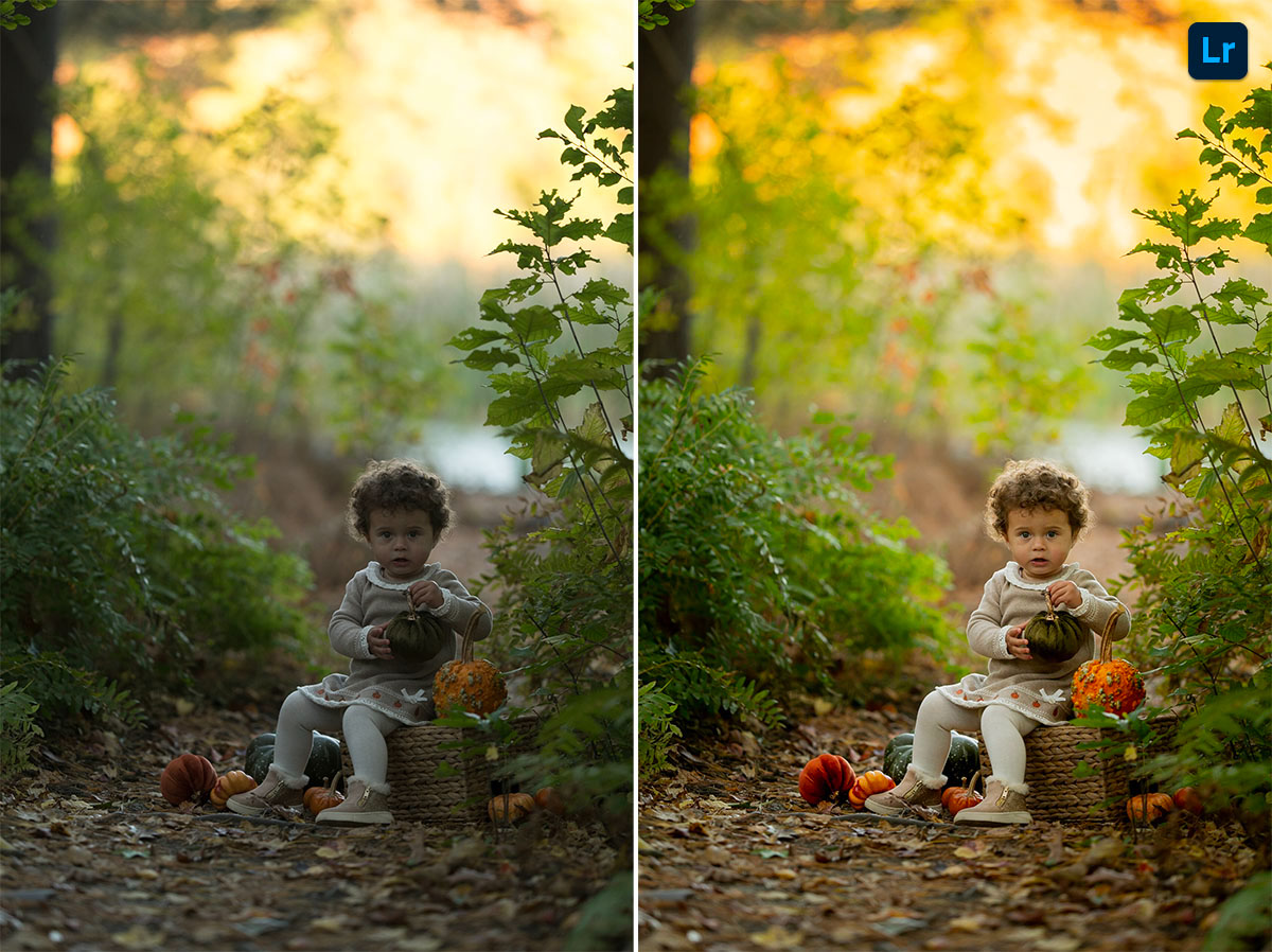 Autumn Walk | Edit | Photoshop Lightroom