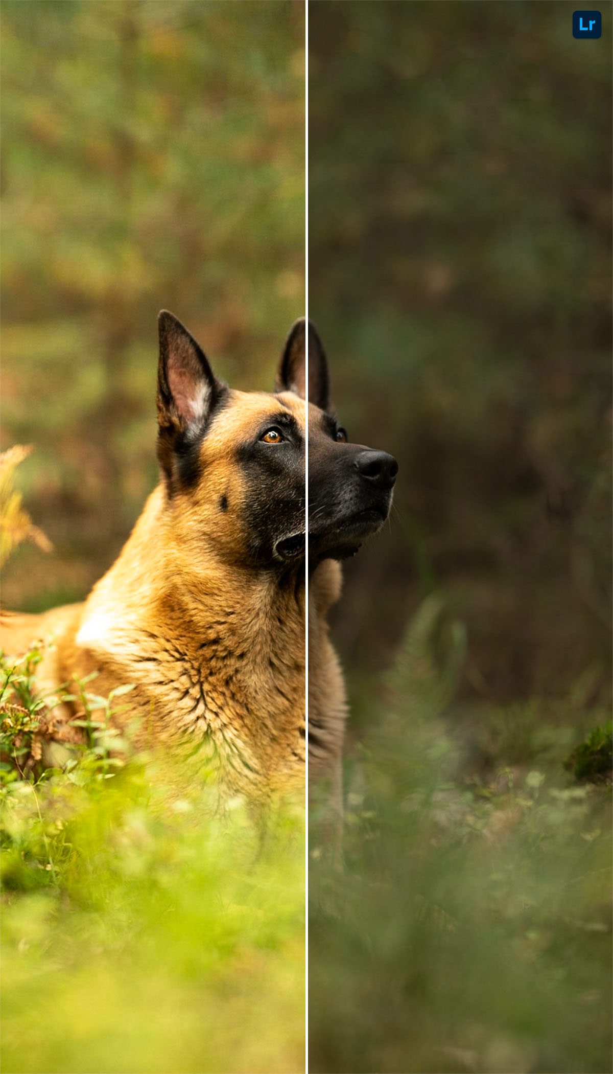 Ghost & Kaya | Remix | Photoshop Lightroom