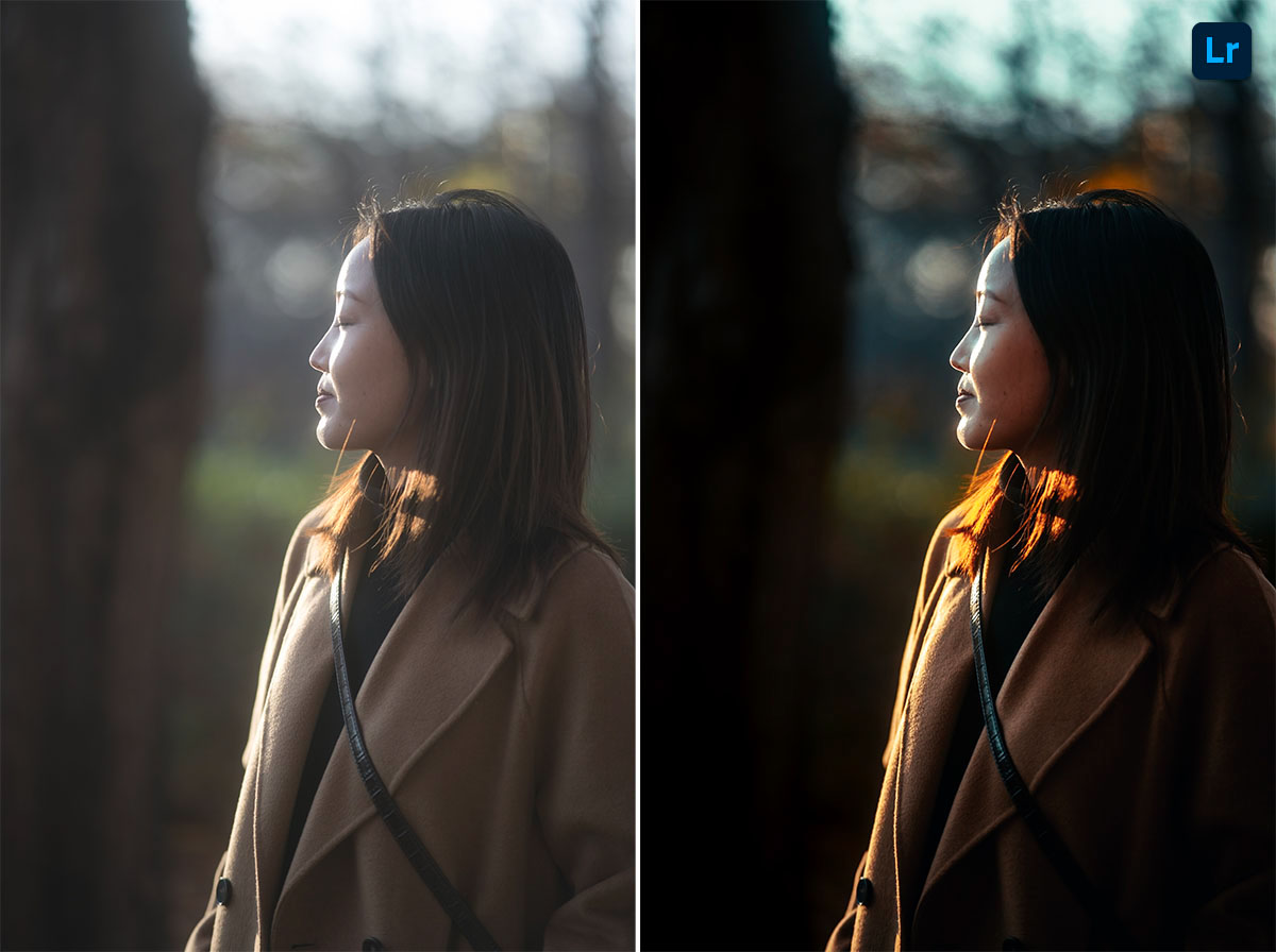 Sunkissed Winter | Remix | Photoshop Lightroom
