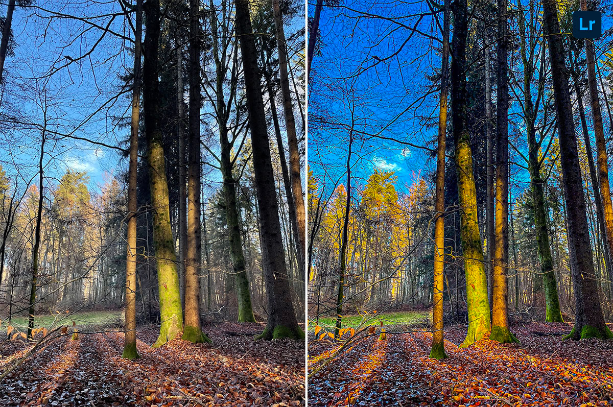 Autumn/Herbst | Edit | Photoshop Lightroom
