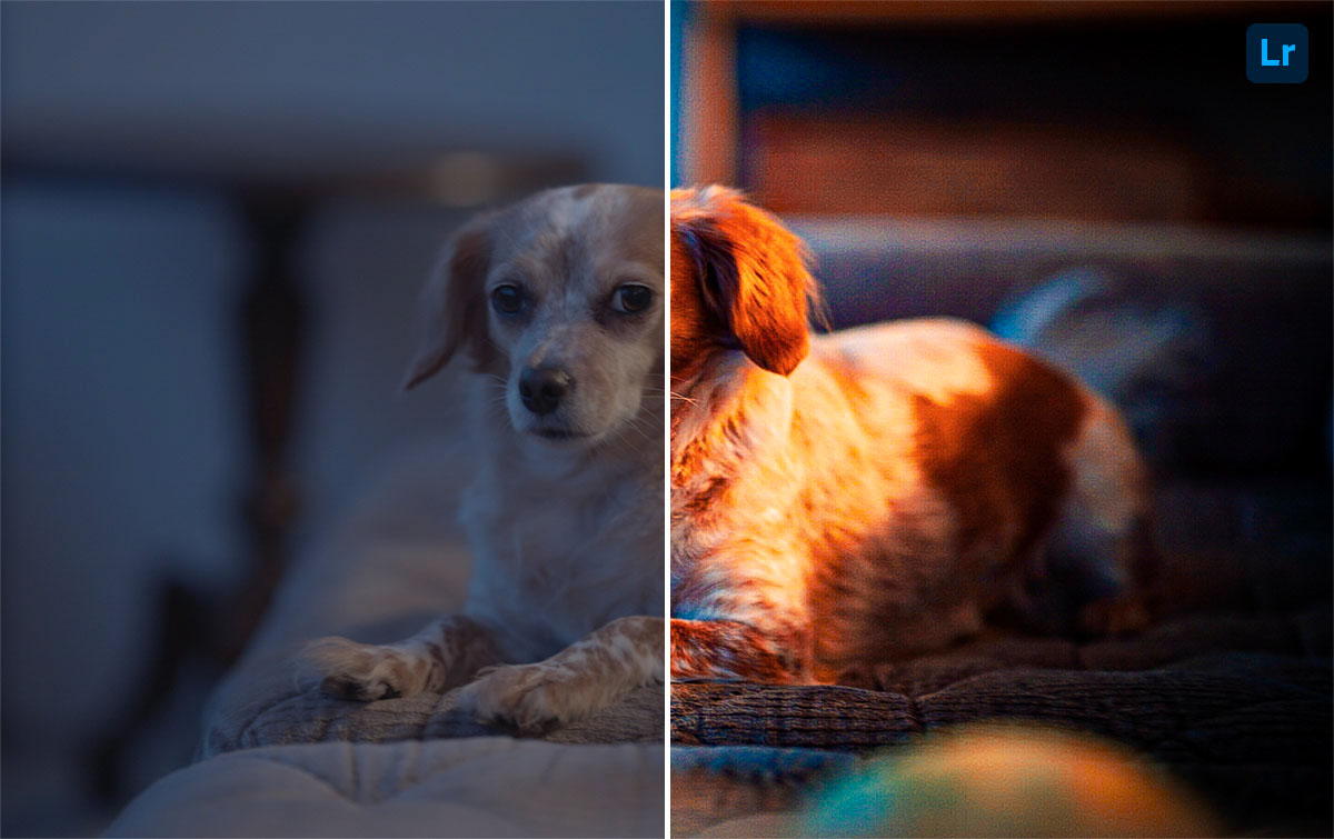 My evero | Edit | Photoshop Lightroom