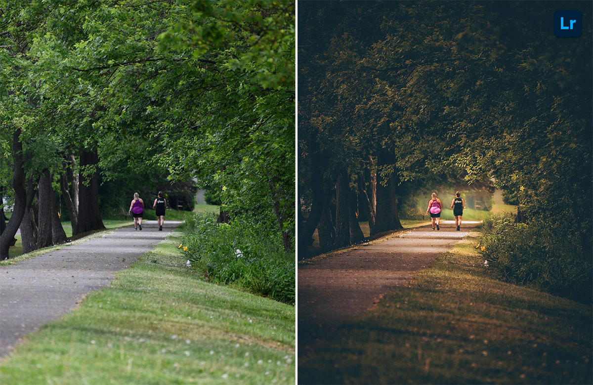 Friendly walk | Edit | Photoshop Lightroom