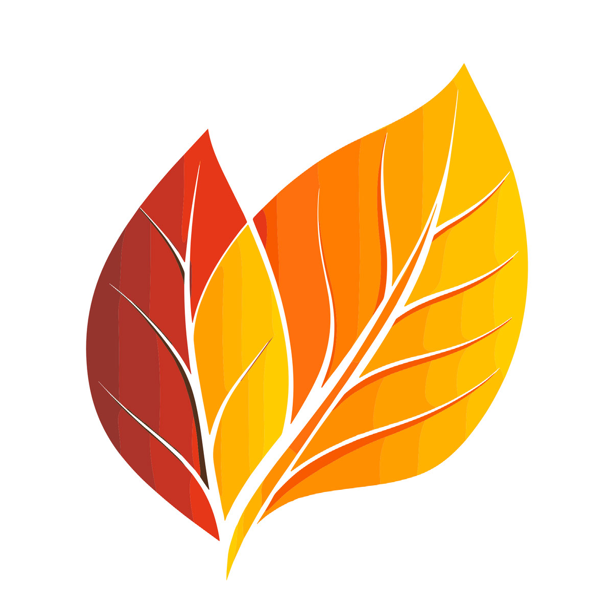Leaves Vector Art - PNG - SVG on Behance :: Behance