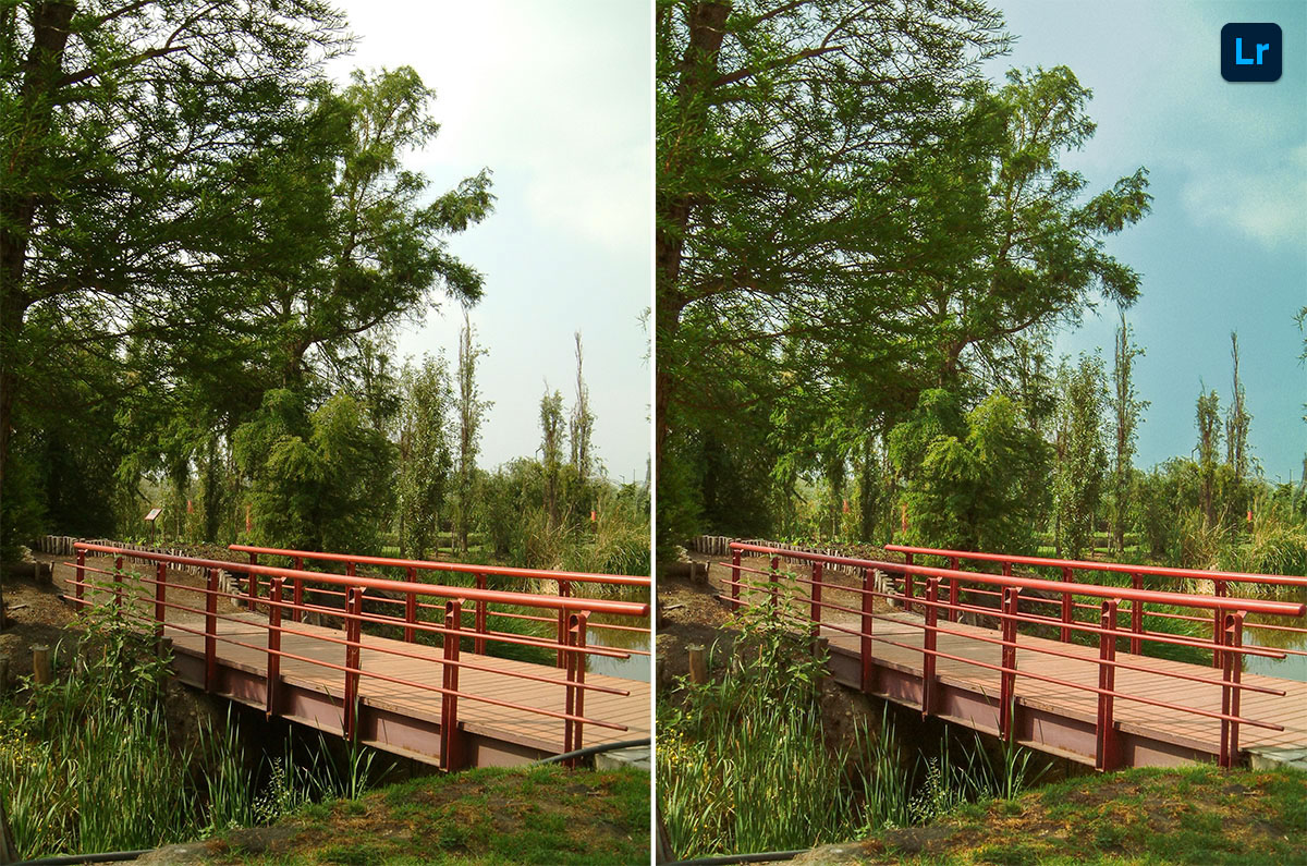 Peaceful walk | Edit | Photoshop Lightroom