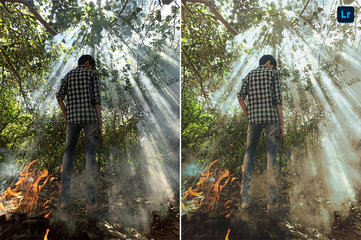 Sunlight | Edit | Photoshop Lightroom