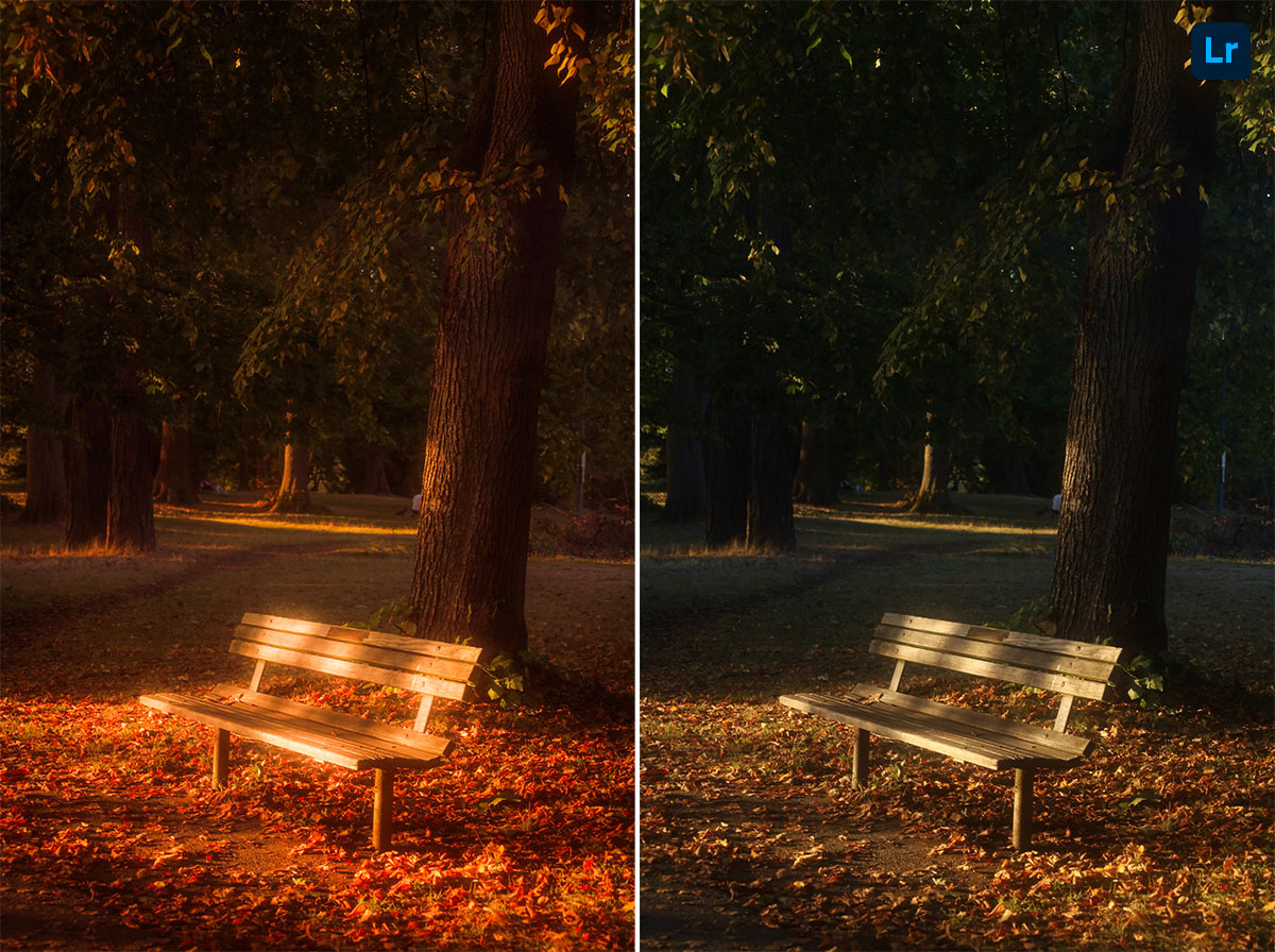 Waiting | Edit | Photoshop Lightroom