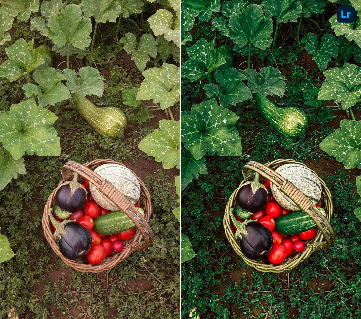 Vegetables | Remix | Photoshop Lightroom