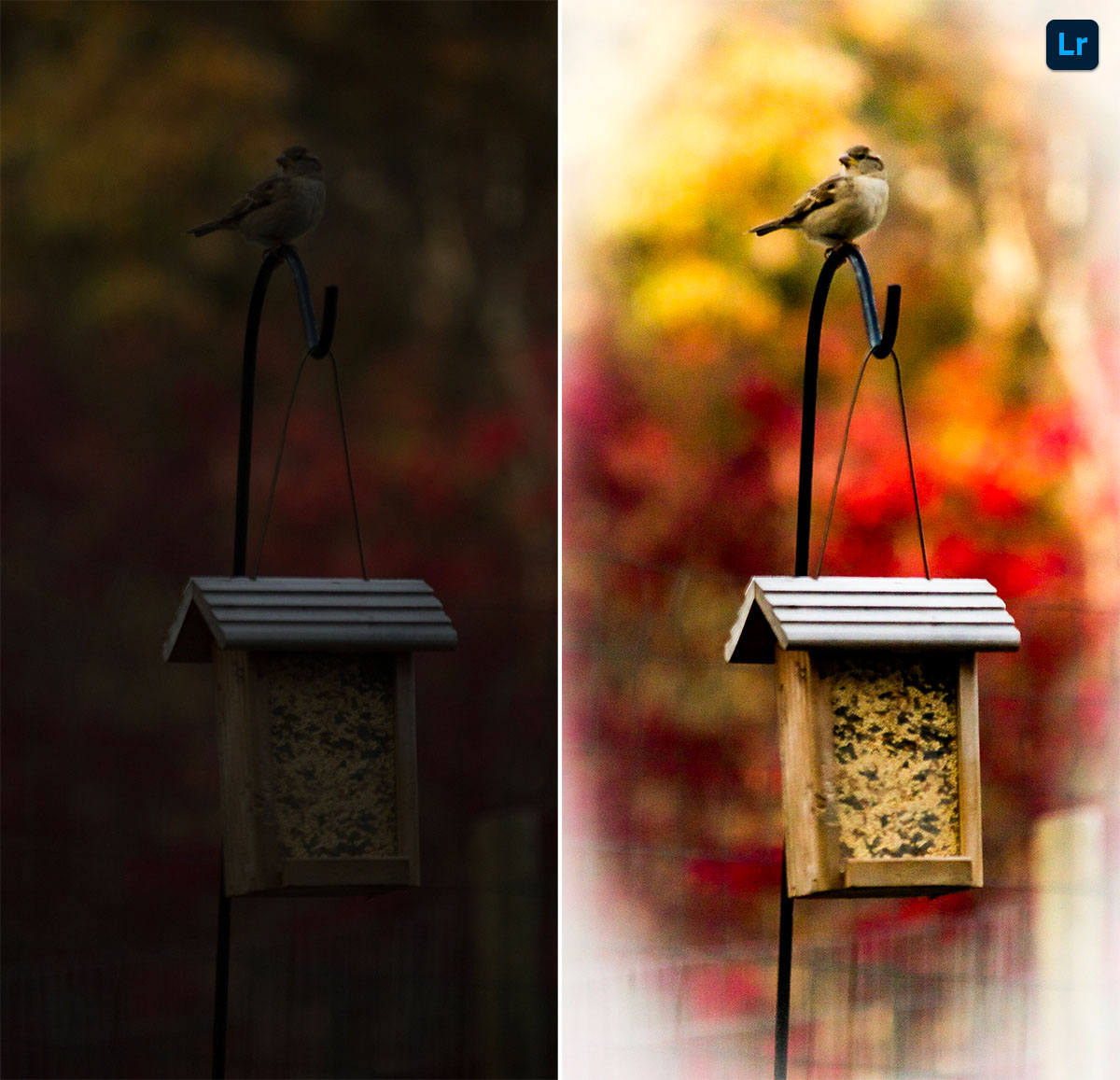 Vantage Points | Edit | Photoshop Lightroom