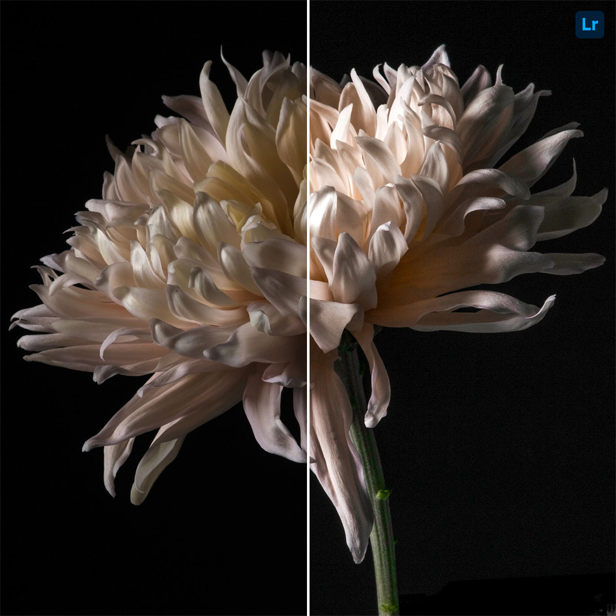 Very simple lighting tricks | Remix | Photoshop Lightroom