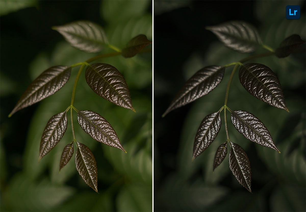 Steps | Edit | Photoshop Lightroom