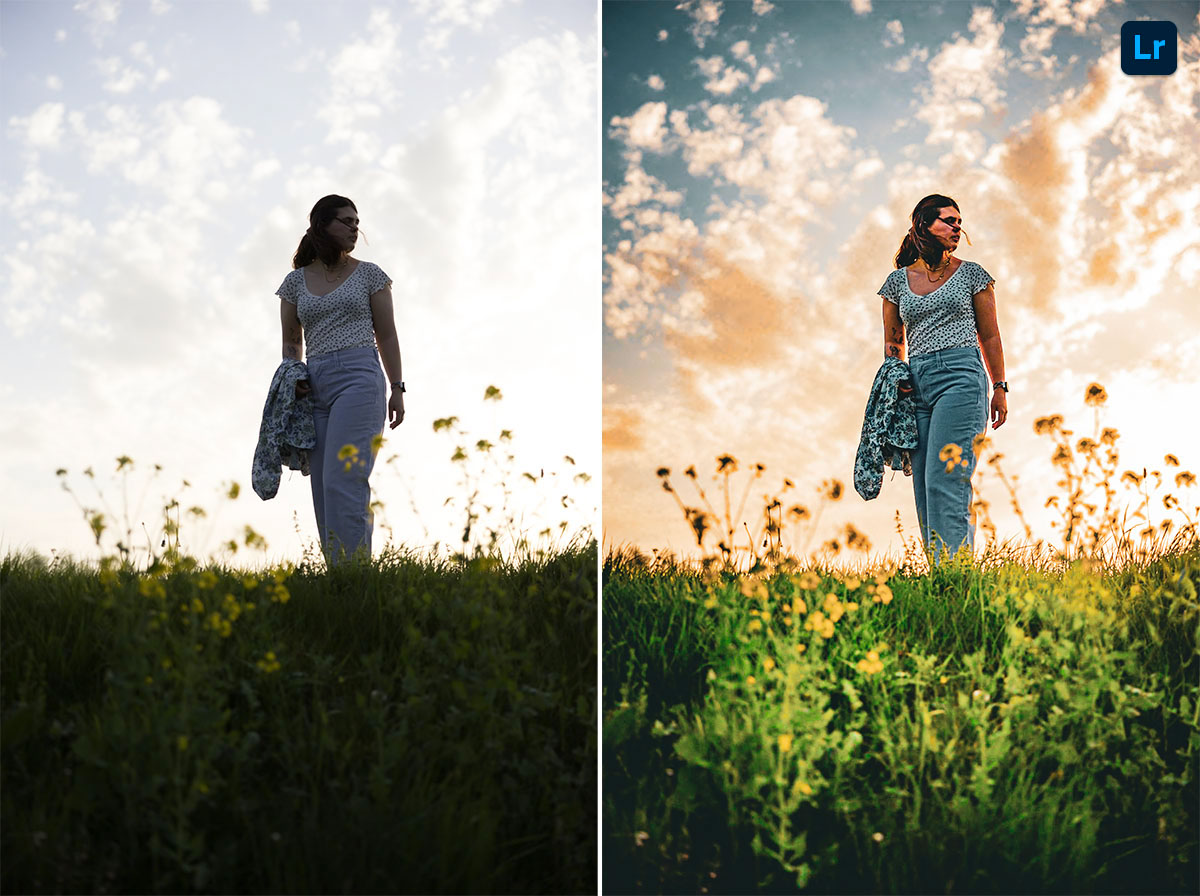 Fields | Remix | Photoshop Lightroom