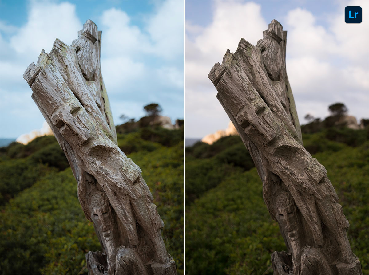 Totem | Edit | Photoshop Lightroom