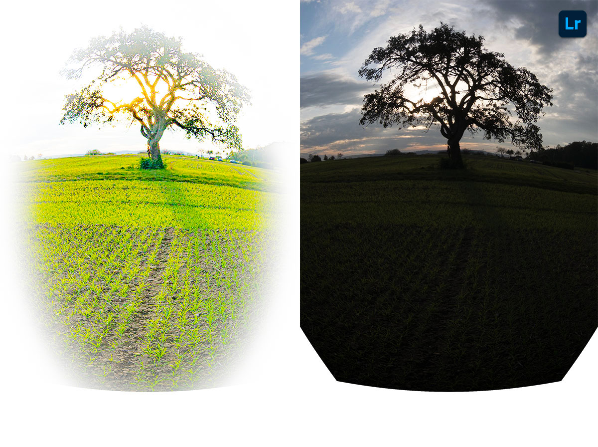 The field | Remix | Photoshop Lightroom