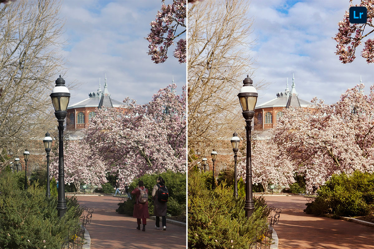 Path | Edit | Photoshop Lightroom