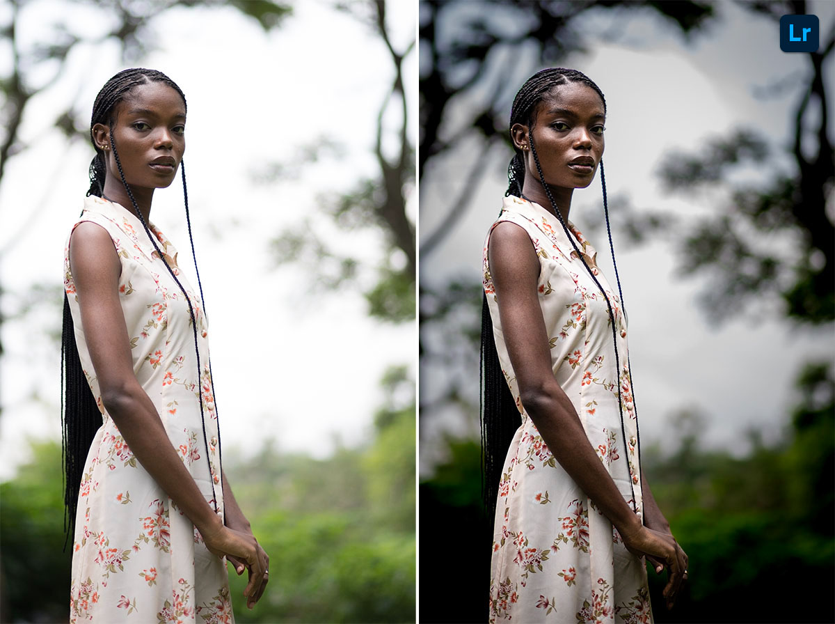 elizabeth ii | Remix | Photoshop Lightroom