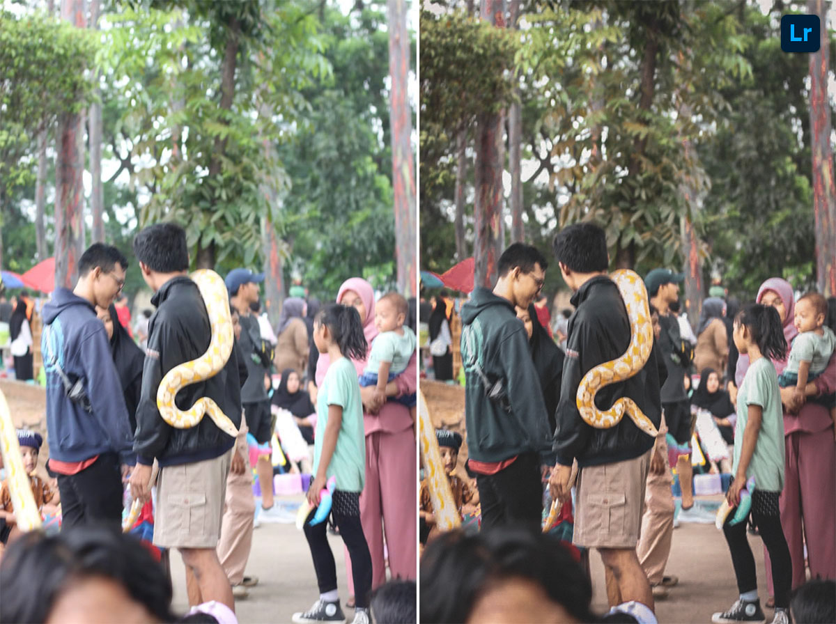 Snake | Edit | Photoshop Lightroom