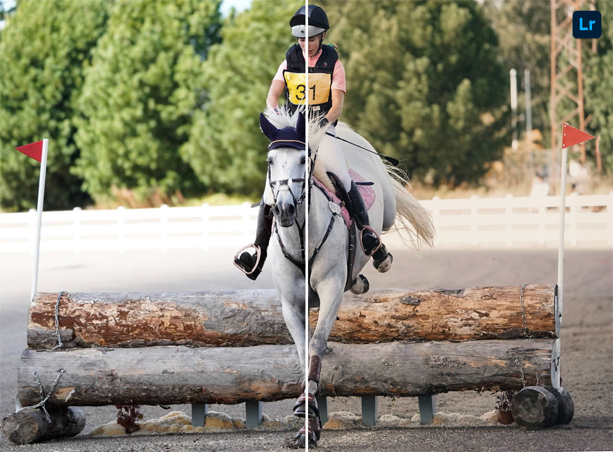 Equestrian cross-country | Edit | Photoshop Lightroom