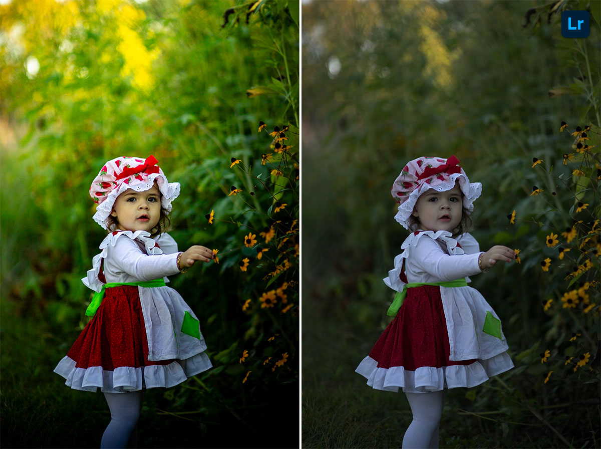 Autumn 🍂 | Remix | Photoshop Lightroom