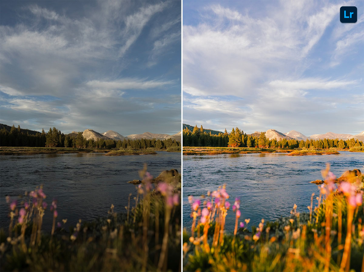 Meadows | Edit | Photoshop Lightroom